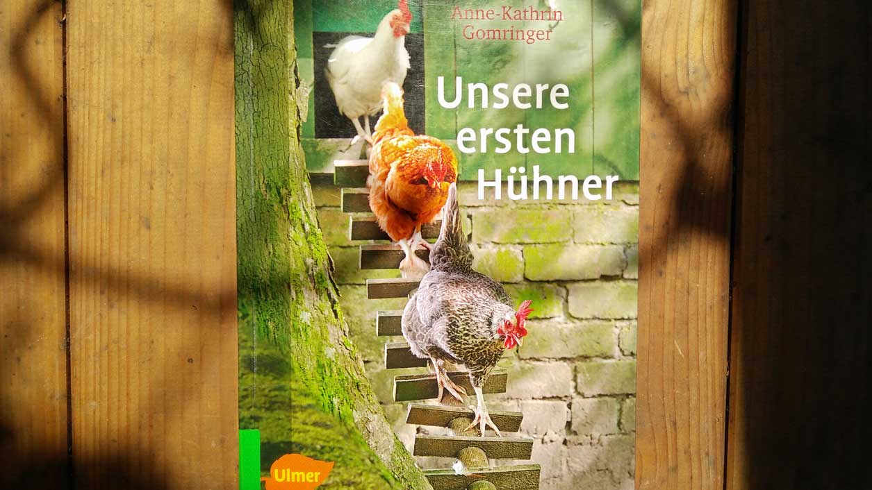 Unsere ersten Hühner - Huehner-Blog.de